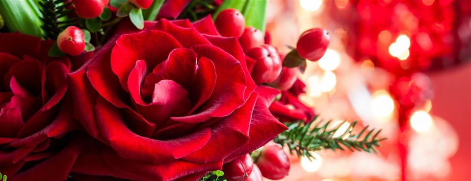 Flowers Unlimited - Florist in Brighton 01273 796000