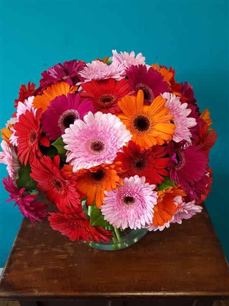 50 Mixed Coloured Mini Gerberas - July Bouquet of the Month